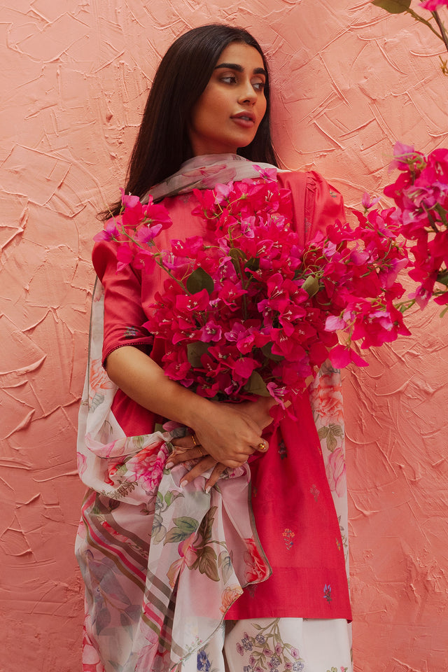 COCO CHERRY-D2 – Coco by ZSJ (PK)